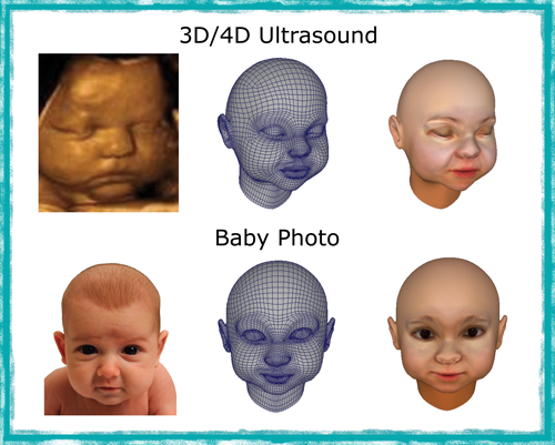 3D Babies 胎兒真人大小模型